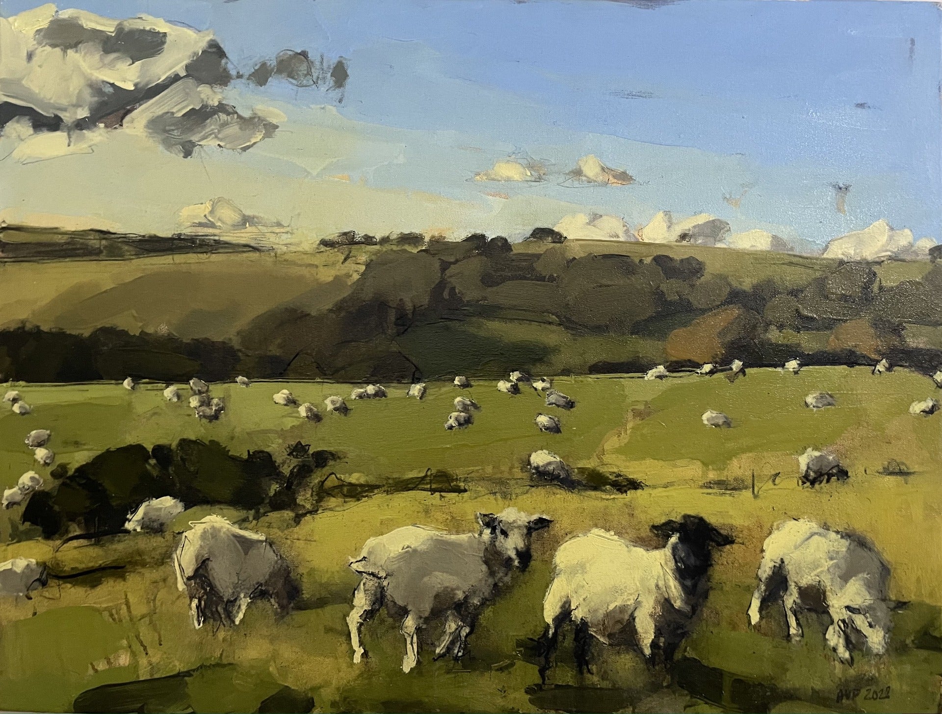 Sheep, South Downs, October – Anna Pinkster Artist